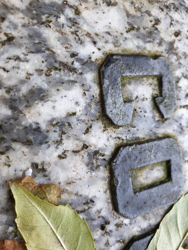 Test Project 1 - The Victoria Cross Trust